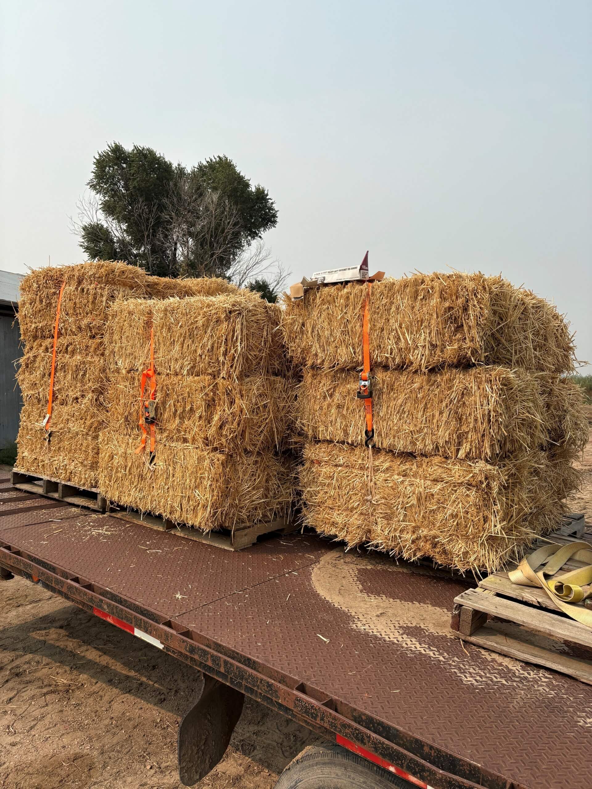 (32) small square bales of straw, barn stored - AMA Auctions